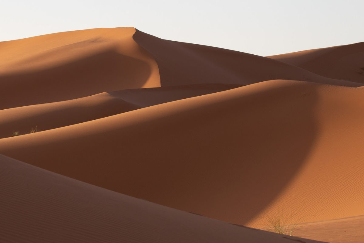 El conflicto de medio oriente y el Dune de Frank Herbert